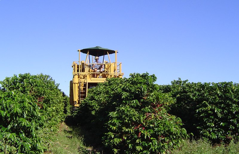 Drive Shafts in Coffee Harvesters: Specialized Applications for ...
